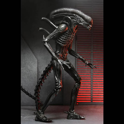 Alien: Romulus 7" Scale Figures - Ultimate Xenomorph XX121 – Maple and ...
