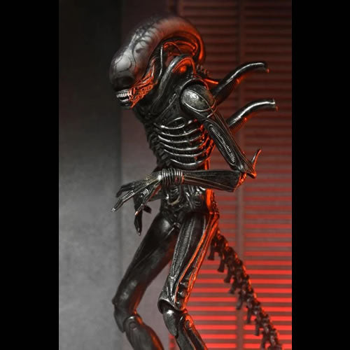 Alien: Romulus 7" Scale Figures - Ultimate Xenomorph XX121 – Maple and ...